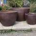 Shop online for specialist large garden pots | World of Pots