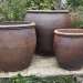 Our Rustic Garden Pots | World of Pots
