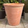 Shop online for specialist large garden pots | World of Pots