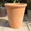Shop online for specialist large garden pots | World of Pots