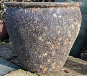 Atlantis Saigon Pot Rust | World of Pots