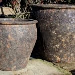 Shop online for specialist large garden pots | World of Pots