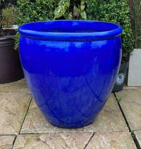 Large Glazed Ceramic Plant Pots for the Garden | World of Pots