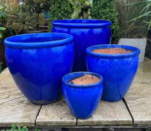 Large Glazed Ceramic Plant Pots for the Garden | World of Pots