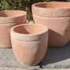 Shop online for specialist large garden pots | World of Pots