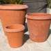 Shop online for specialist large garden pots | World of Pots