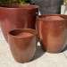 Large Glazed Ceramic Plant Pots for the Garden | World of Pots
