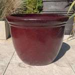 Large Glazed Ceramic Plant Pots for the Garden | World of Pots
