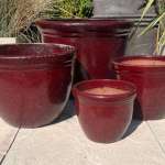 Shop online for specialist large garden pots | World of Pots