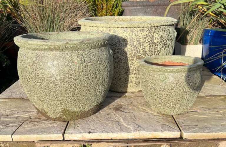 Rustic Apricot Pot | World of Pots