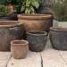 Shop online for specialist large garden pots | World of Pots