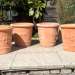 Shop online for specialist large garden pots | World of Pots