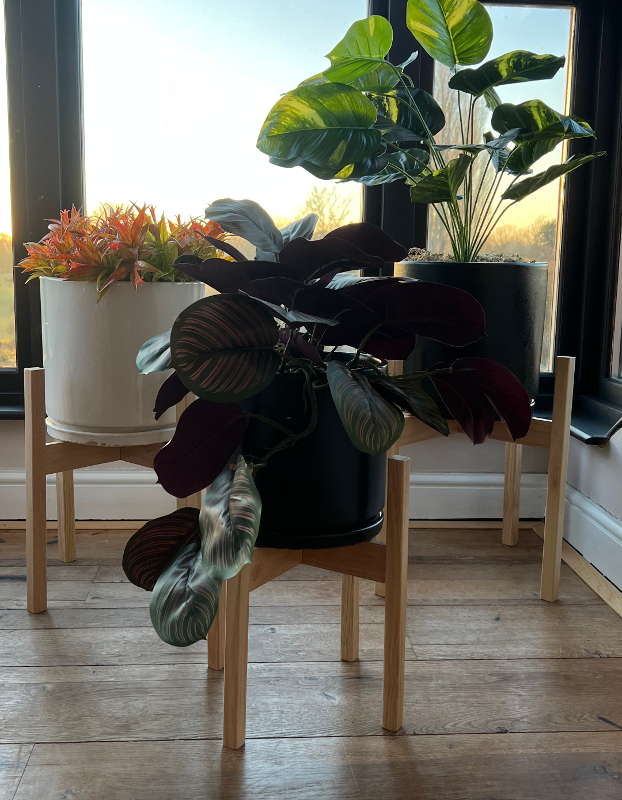 Indoor / Household Pots | World of Pots