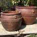 Our Rustic Garden Pots | World of Pots