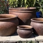 Our Rustic Garden Pots | World of Pots