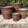Shop online for specialist large garden pots | World of Pots