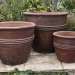 Our Rustic Garden Pots | World of Pots
