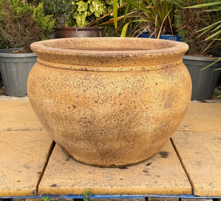 Shop online for specialist large garden pots | World of Pots