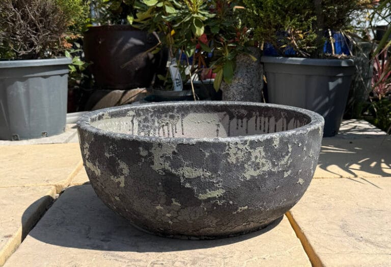 Atlantis Verdi Black Low Bowl | World of Pots