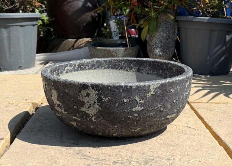 Atlantis Verdi Black Low Bowl | World of Pots