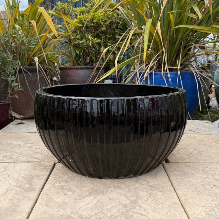 Glazed Black Ribbed Low Bowl | World of Pots