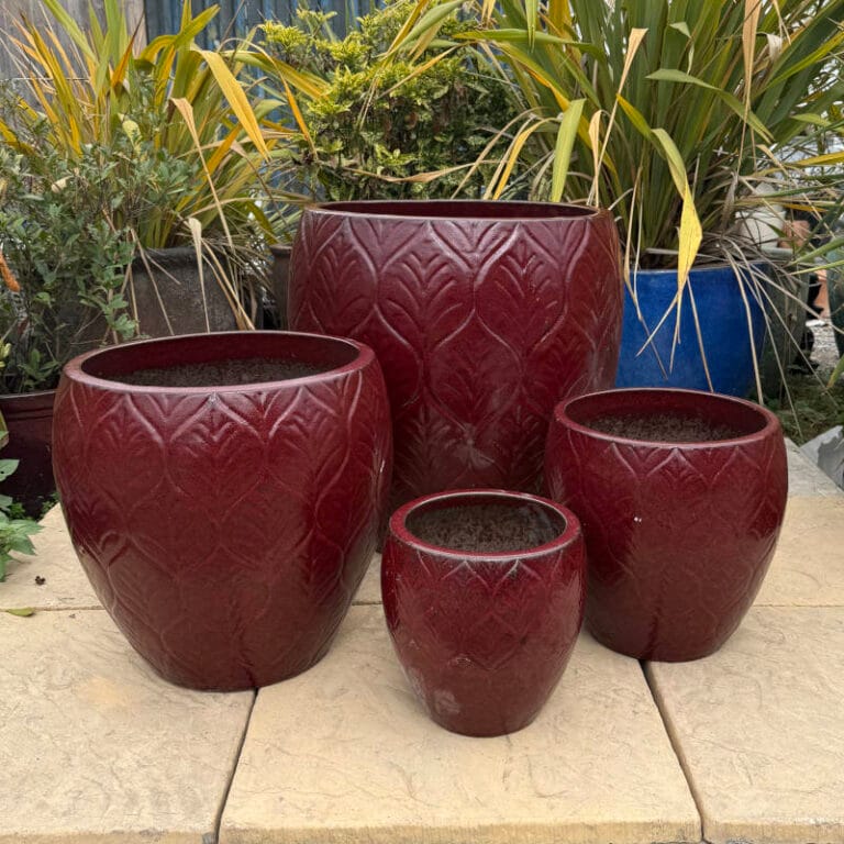 Shop online for specialist large garden pots | World of Pots